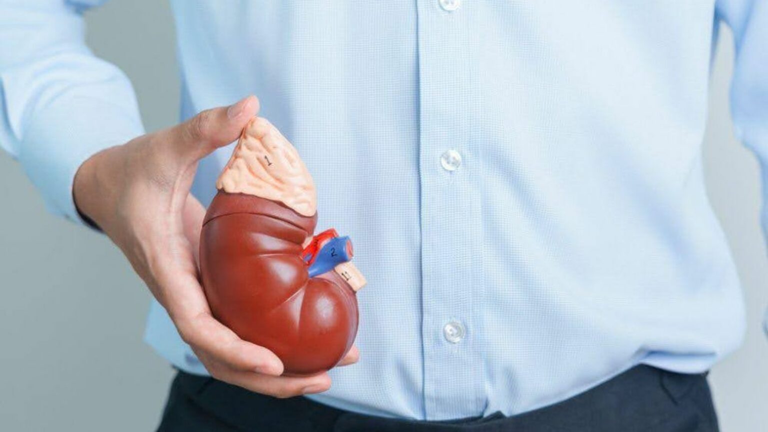Don’t Wait: Recognize the Signs and Begin Adrenal Fatigue Treatment ...